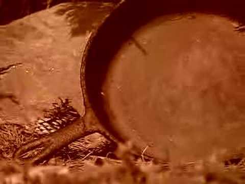 Barnes Family Reunion - YouTube