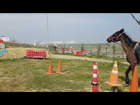 At üstünde ok atmak