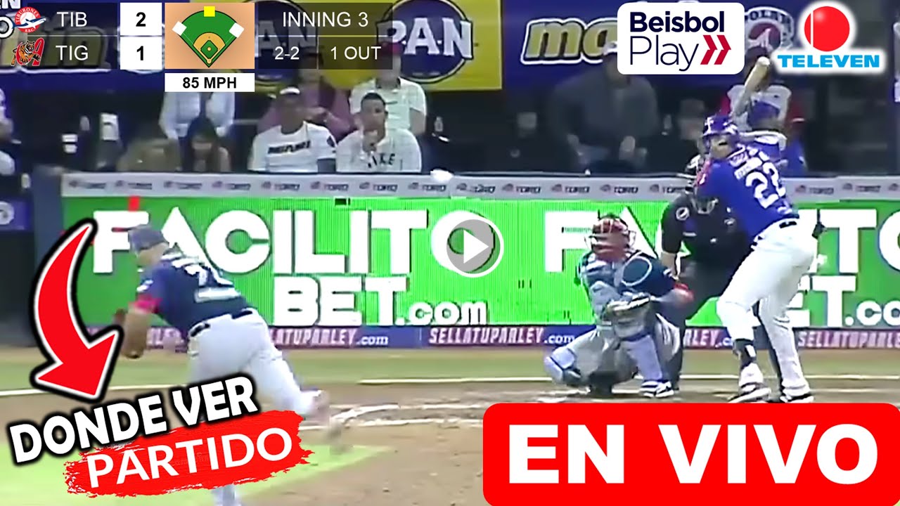 🔴 Tiburones de la Guaira vs Tigres de Aragua EN VIVO hoy LVBP Round ...