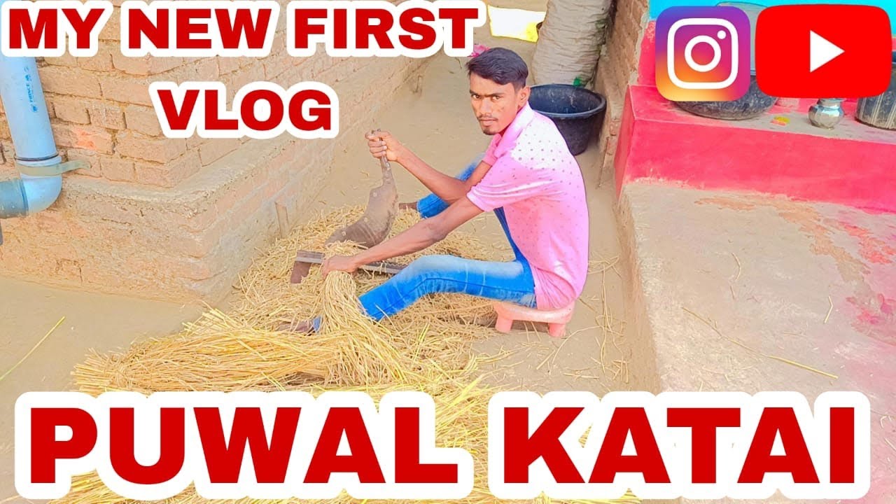 MY NEW || FIRST VLOG || PUWAl KATAI ☺😊||#youtube #myfirstvlog #newvlog ...