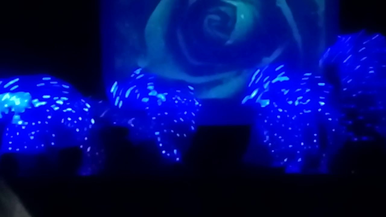 Baile de alas con luces...genial😍 - YouTube