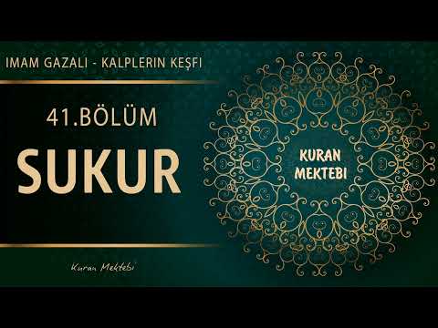 Kalplerin keşfi 41.bölüm ŞÜKÜR