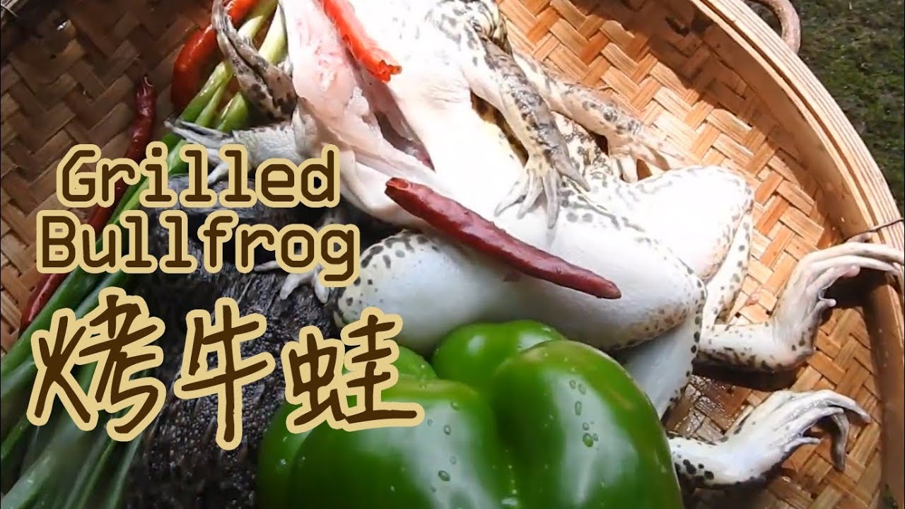 竹筒烤牛蛙，一个人吃简直太过瘾了 Grilled Bullfrog【野食阿瑶】 - YouTube