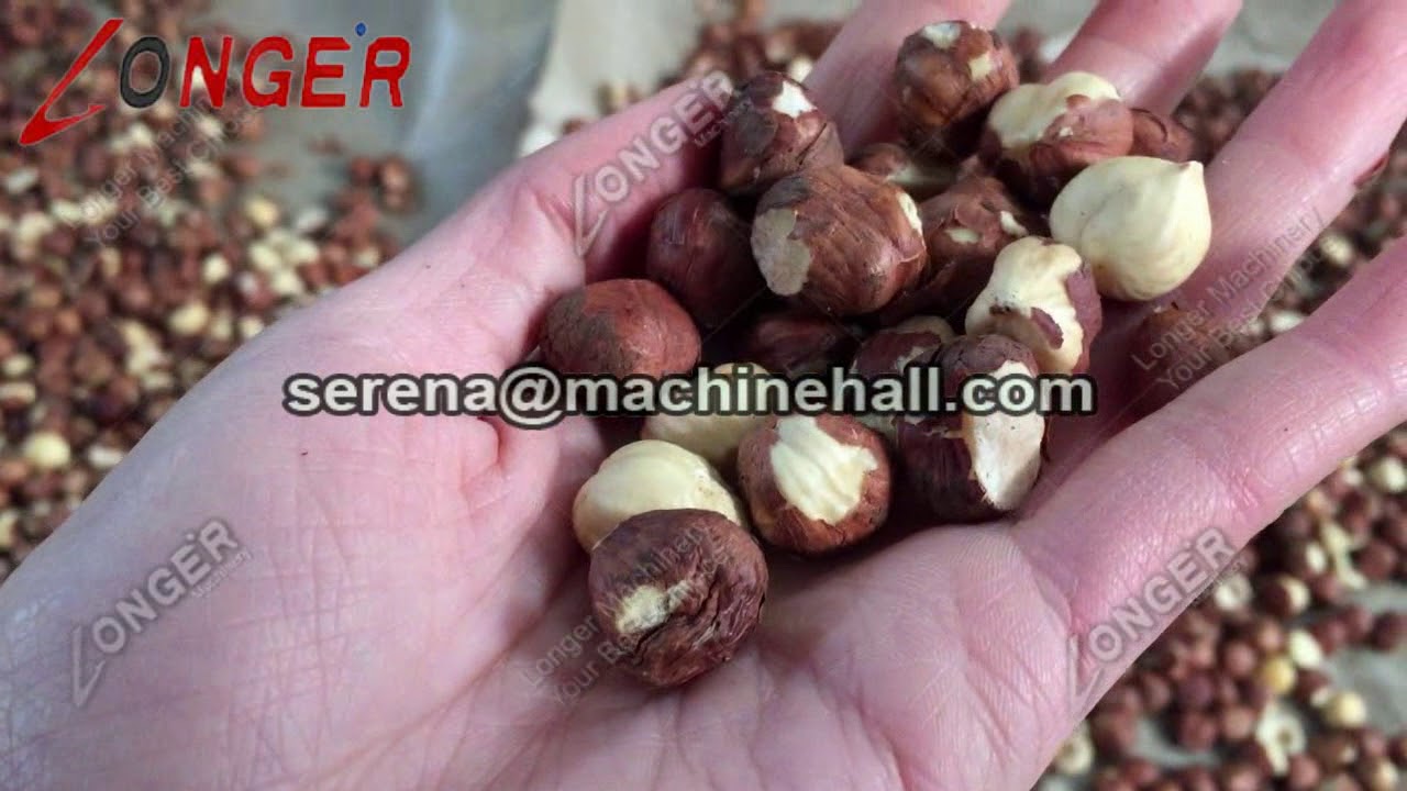 How to dry roast hazelnuts without shell? - Hazel Nut Roasting Machine ...