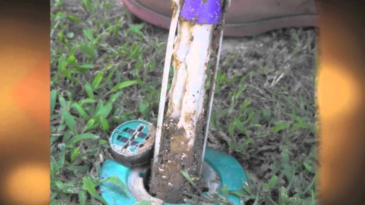 Sentricon Technology JP Miller - YouTube