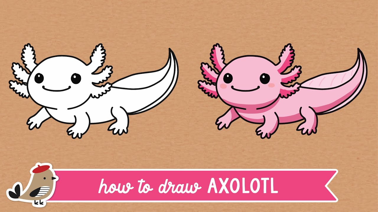 How To Draw A Cute Axolotl | Easy Drawing For Kids - YouTube