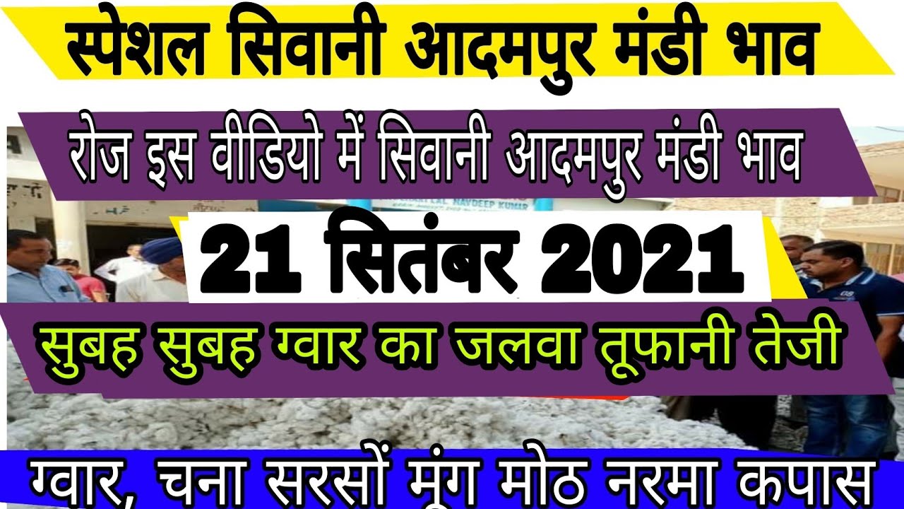 21 सितंबर 2021anajmandi latest rate today|| siwani mandi bhav today ...