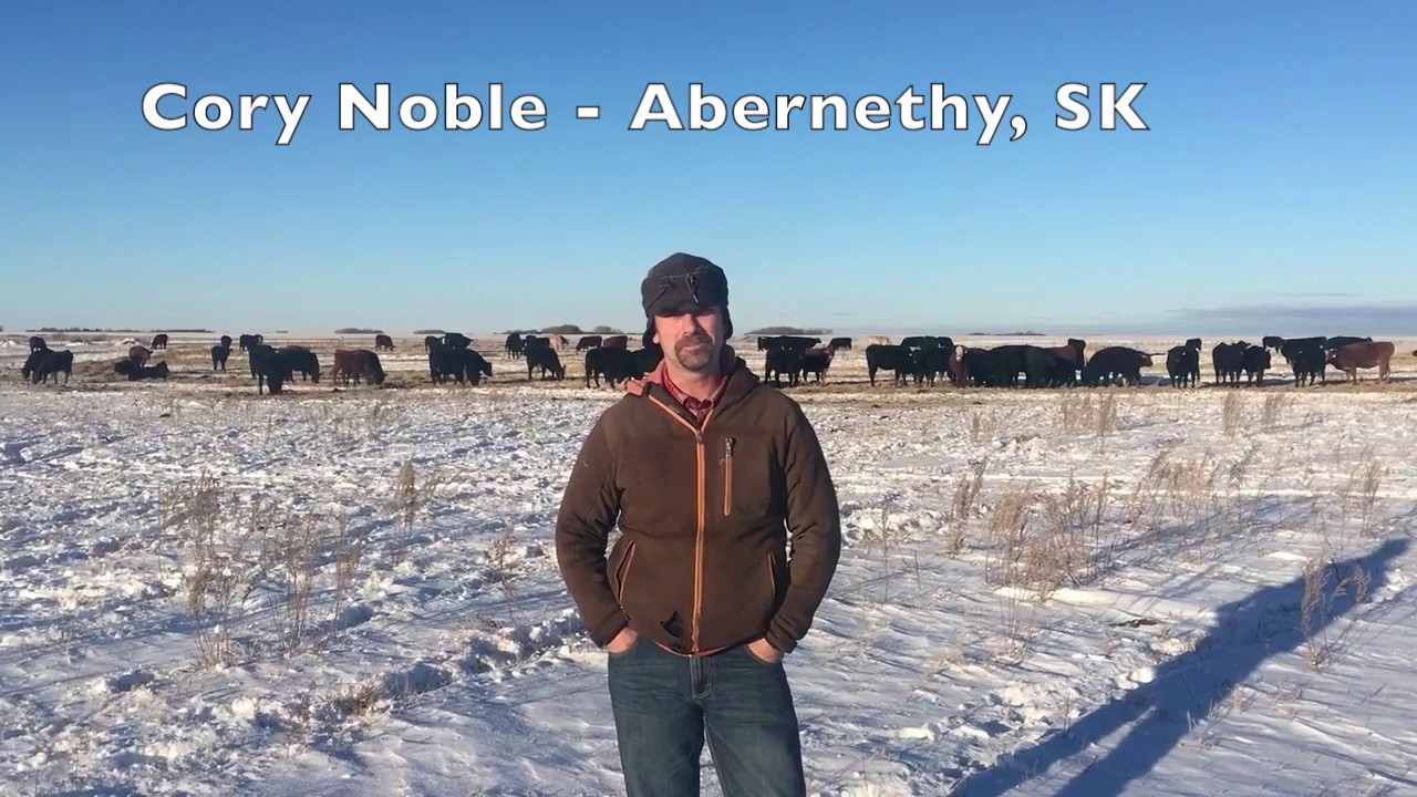 Video Testimonial / Cory Noble - Abernethy, SK - YouTube