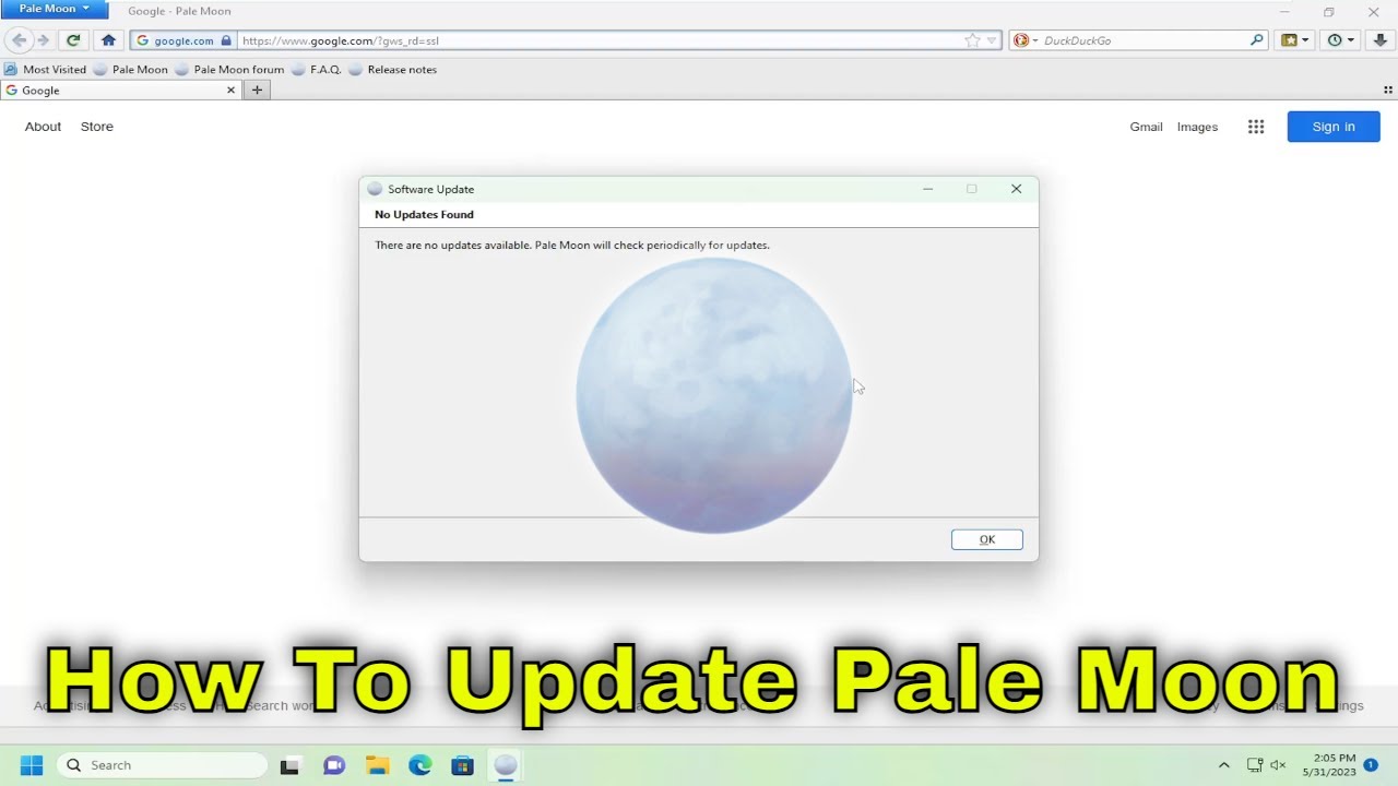 How To Update Pale Moon Browser [Guide] - YouTube