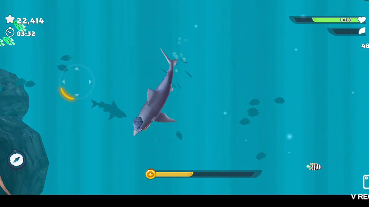 Shark Evolution: Part 3 - YouTube