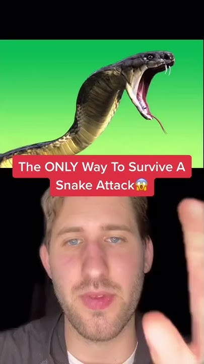 HOW TO SURVIVE A SNAKE ATTACK - SKIT/STORY #Shorts - YouTube