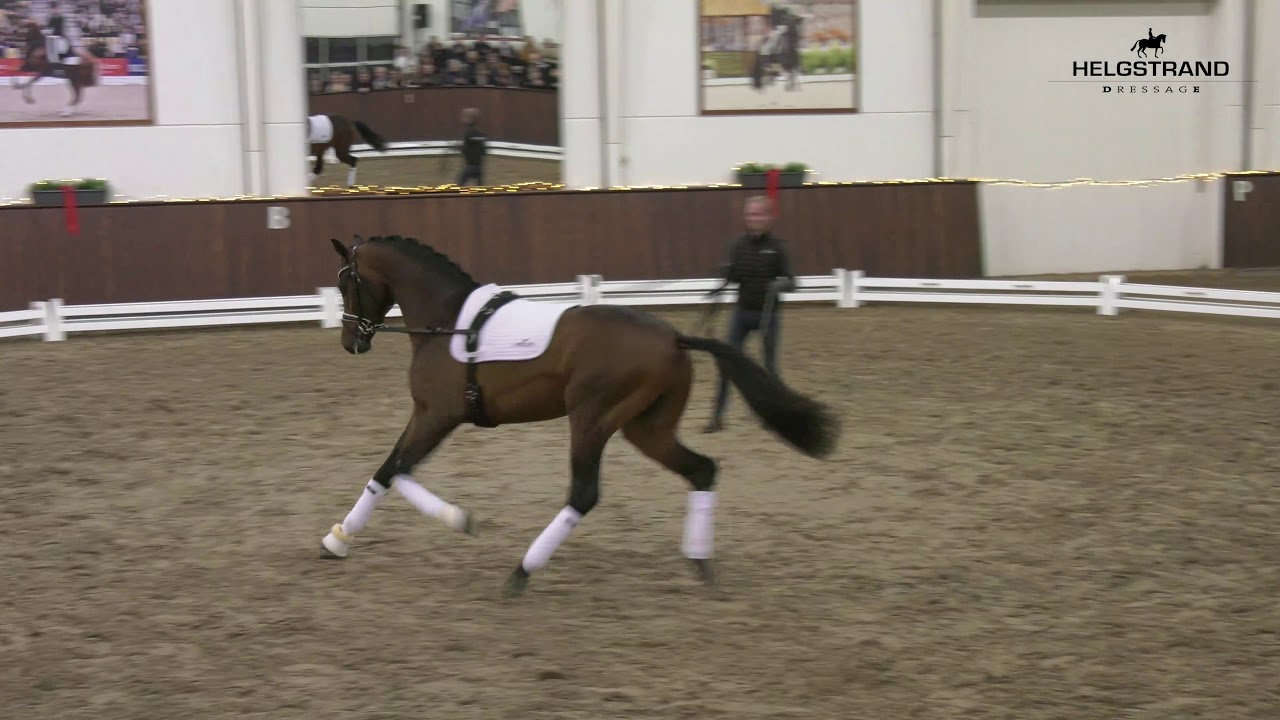 Dynamic Dream - YouTube