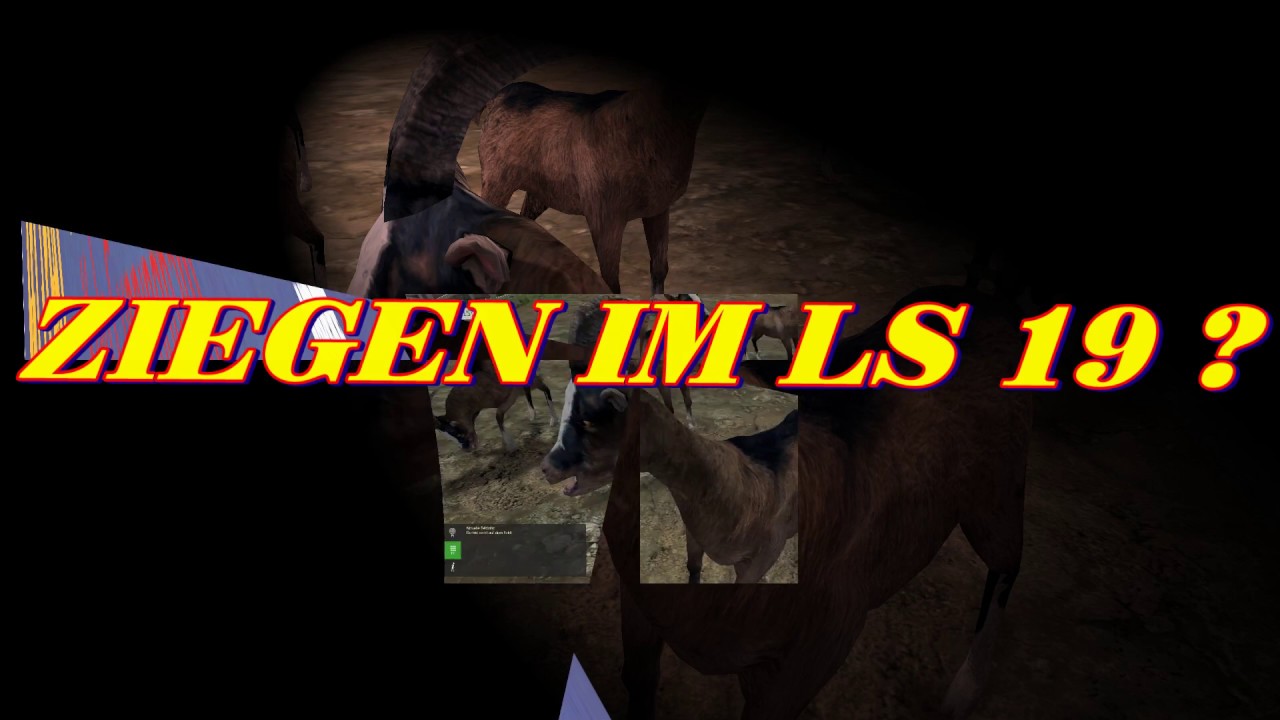 LS17| LS19 ZIEGEN IM LS 19 ? - YouTube