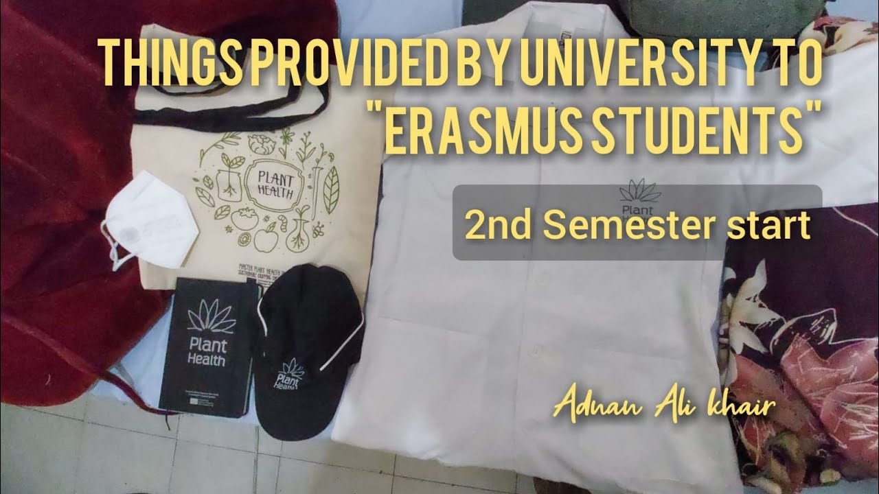 Erasmus students life|Daily routine| A day of erasmus student|Plant ...