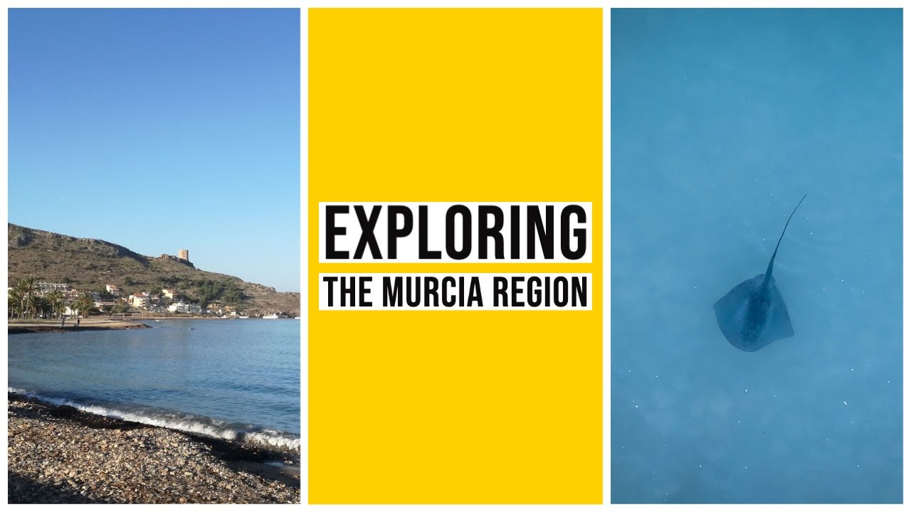 Spanish Stingrays at La Azohia Mazarron Spain - YouTube