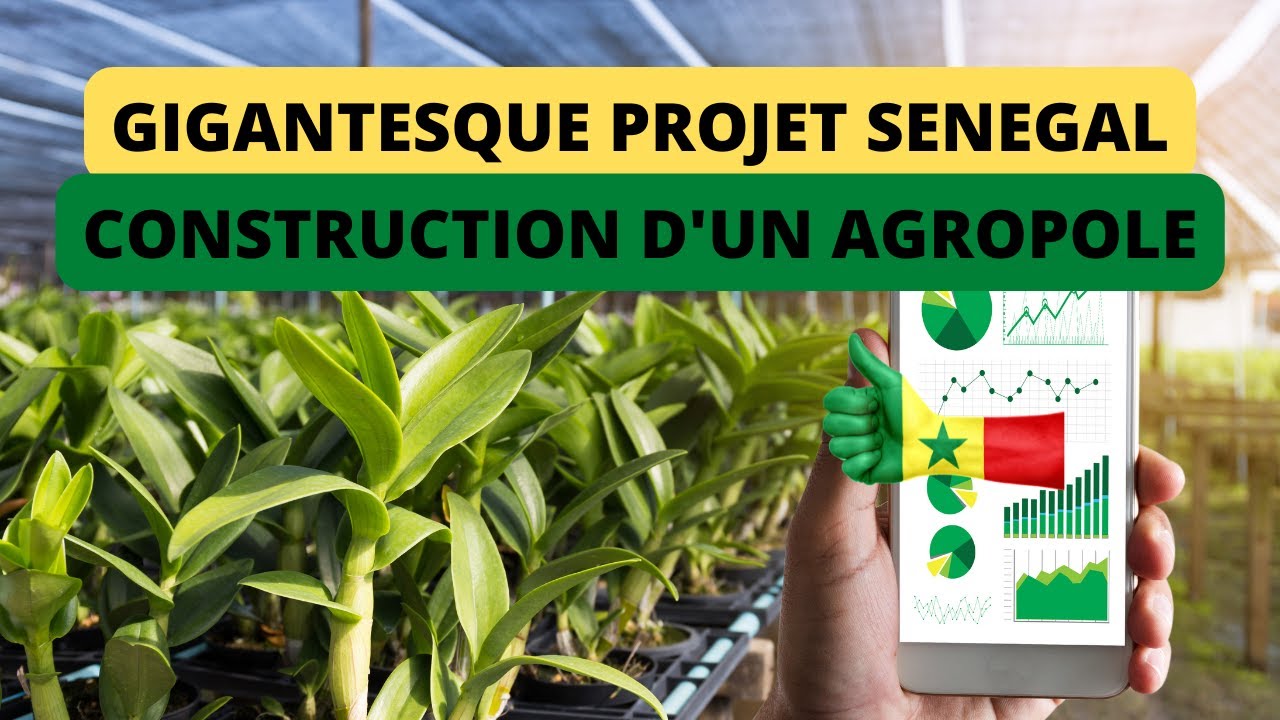 Actualité Sénégal, GIGANTESQUE PROJET DE CONSTRUCTION D UN AGROPOLE AU ...