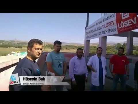 LÖSEV | 24.09.2015 Vekâleten Kurbanlarınızın Kesimleri