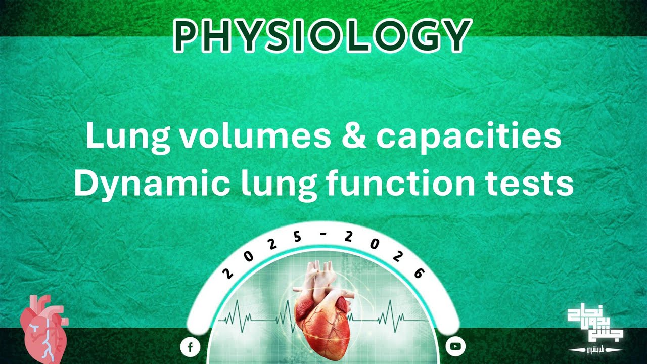 Revision of Tut 4: Lung volumes and capacities Dynamic lung function ...