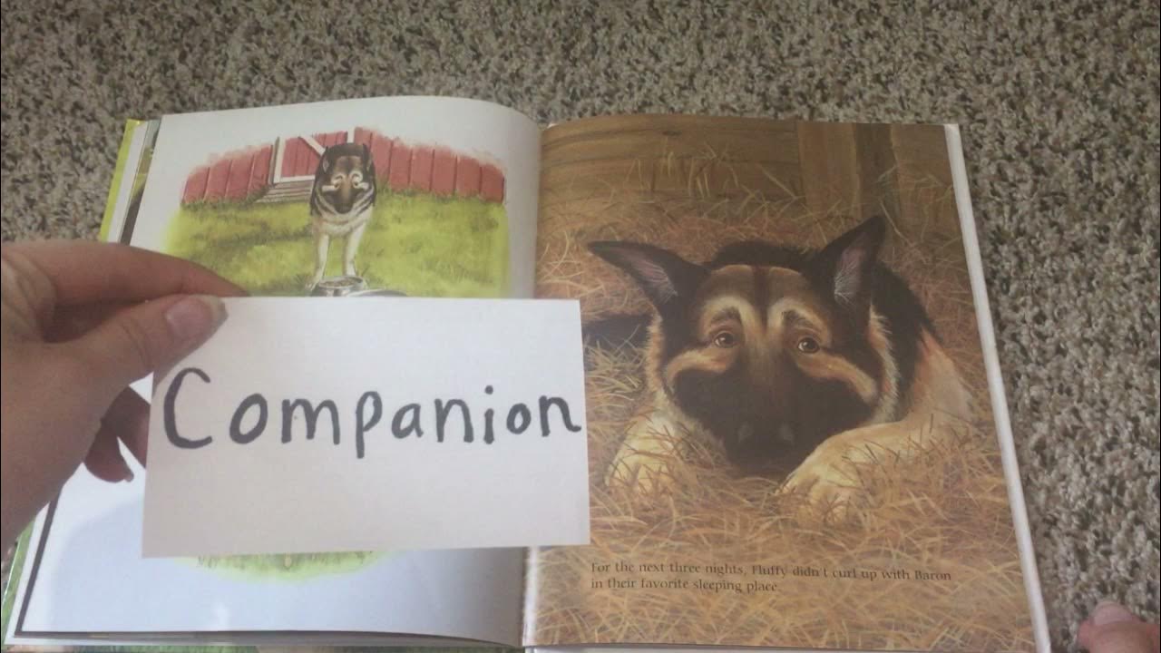 Fluffy and Baron Read Aloud - YouTube