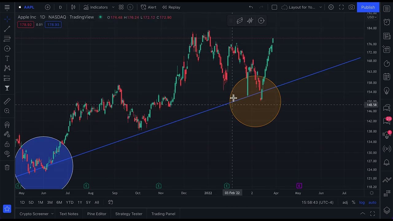 How To Use The Circle Drawing Tool - YouTube