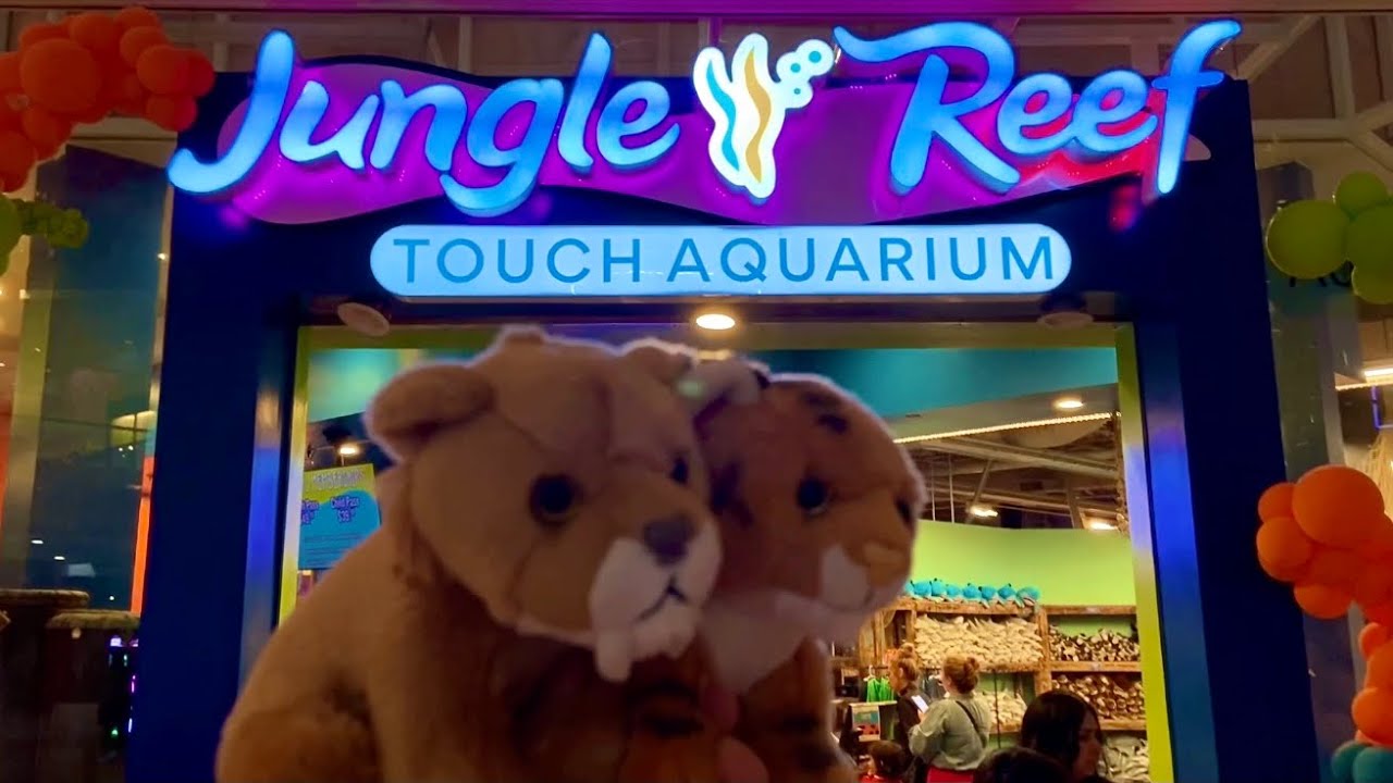 Smilo at the Jungle Reef Touch Aquarium 🦈🦦🐠 - YouTube