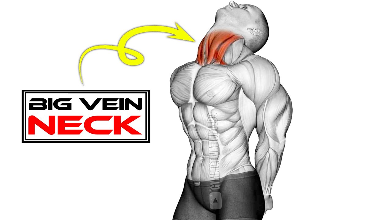 6 Exercises to Get Big Vein Neck (No equipment) - YouTube