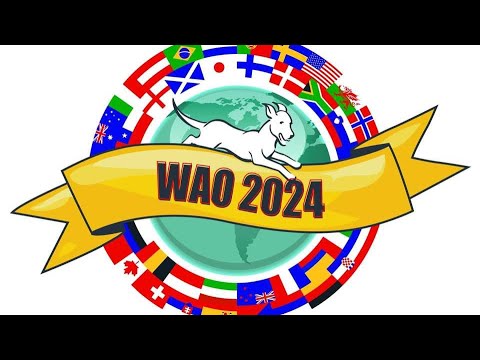 World Agility Open 2024 | Adrian Bajo & Gif - YouTube