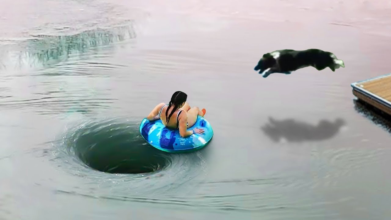 30 Hero Animals that Saved Human Lives - YouTube