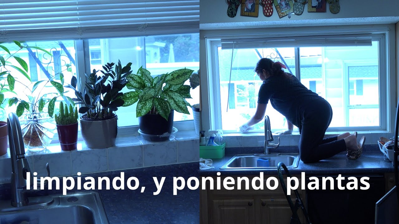 Limpiando ventana y poniendo plantas. - YouTube