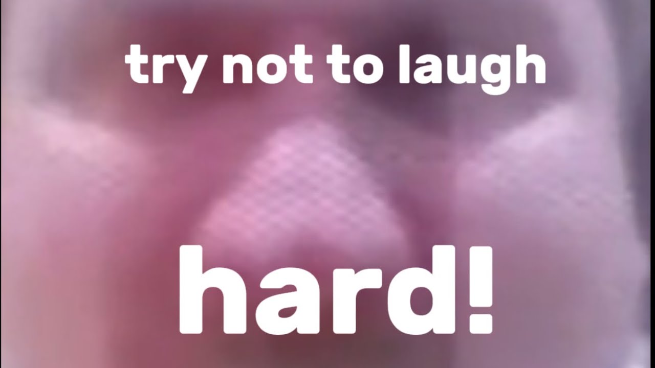 try not to laugh hard! - YouTube