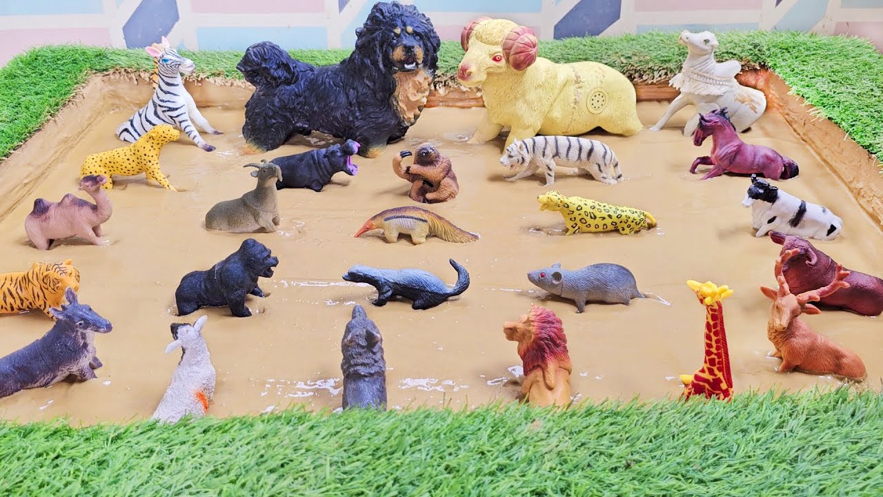 Muddy Fun & Kids Games: The ULTIMATE Mud Challenge of Farm & Zoo ...