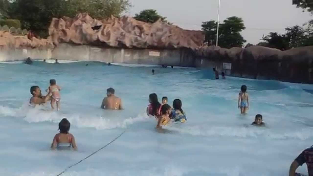 Dolphin - The Water World | Wave Pool - YouTube