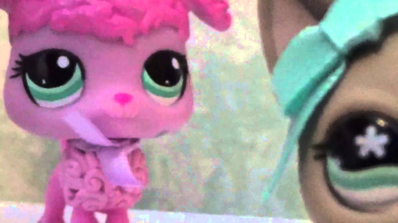 LPS:Angle Wings brand new intro! - YouTube