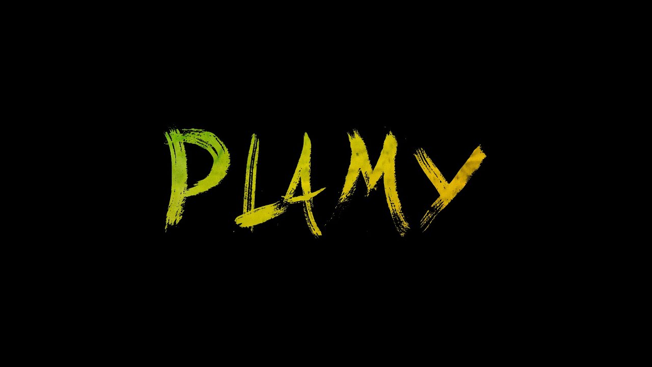 Plamy - YouTube