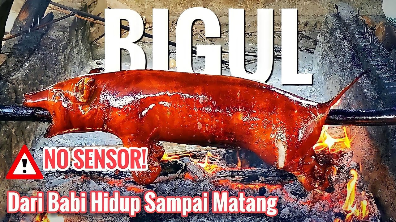 PEMBUATAN BABI GULING DARI BABI HIDUP SAMPAI MATANG - KULINER BALI ...