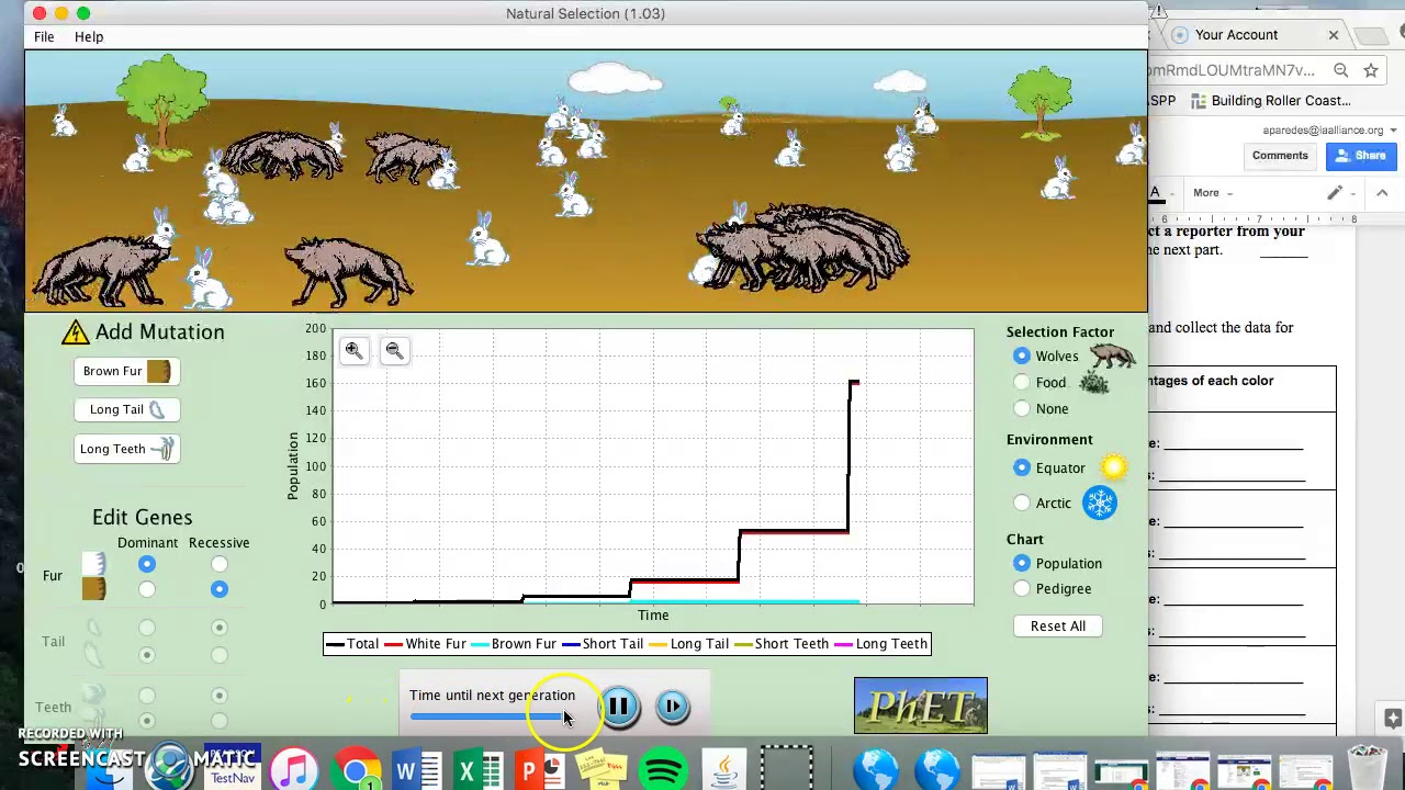 "Fittest" Bunny Lab - YouTube