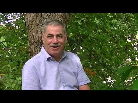 ORDUBAD-DIRNIS \