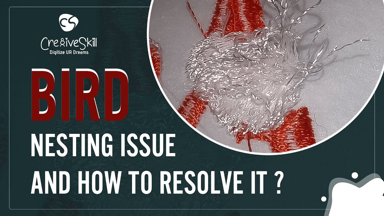 Bird Nesting Issue And How To Resolve It | Cre8iveSkill - YouTube