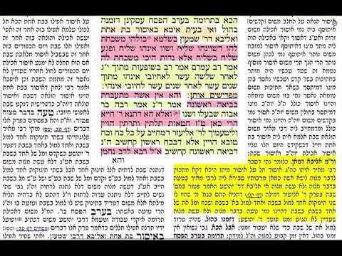 דף יומי מסכת יבמות דף לד Daf yomi Yevamot daf 34 - YouTube