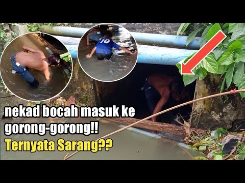 Bocil‼️Nekad bocil Masuk gorong-gorong Sempit demi cari Ikan babon?? #dedeinoen #bolang #mancing