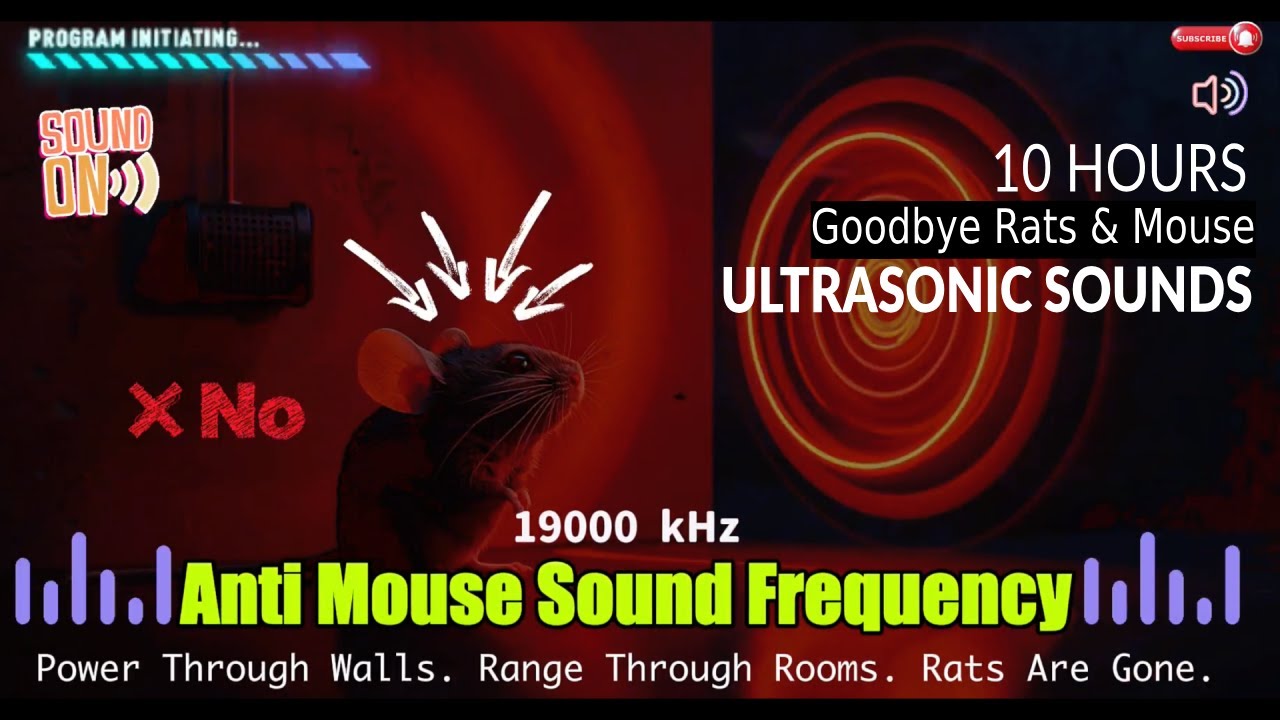 Ultrasonic Anti Mouse Frequency – Clean High Frequency Audio 🐭🔊 | Pure ...