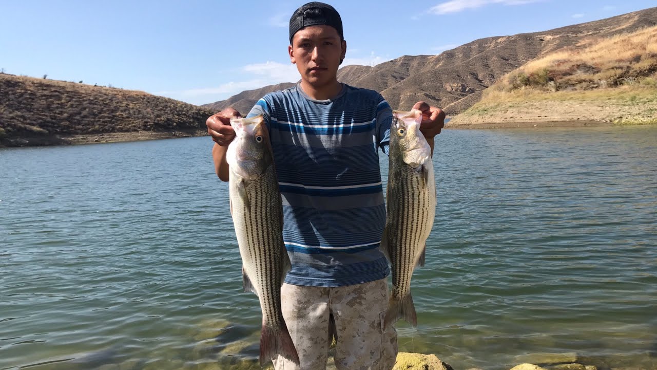 Huge School Of Fish - Castaic Lake - YouTube