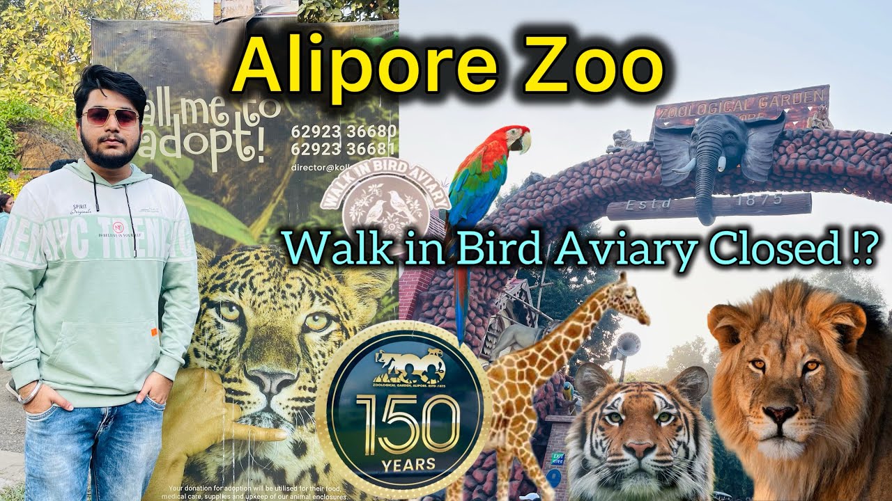 Alipore Zoo Kolkata || 150 Years Main Attraction || Walk In Bird Aviary ...