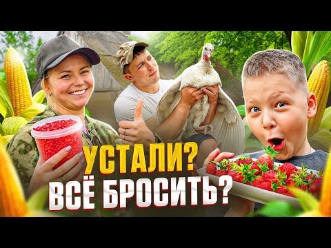 НЕОБЫЧНАЯ И НАСТОЯЩАЯ ДЕРЕВЕНСКАЯ ЖИЗНЬ! СЕКРЕТЫ УРОЖАЙНОСТИ НА ФЕРМЕ! ПЕРВАЯ КЛУБНИКА!