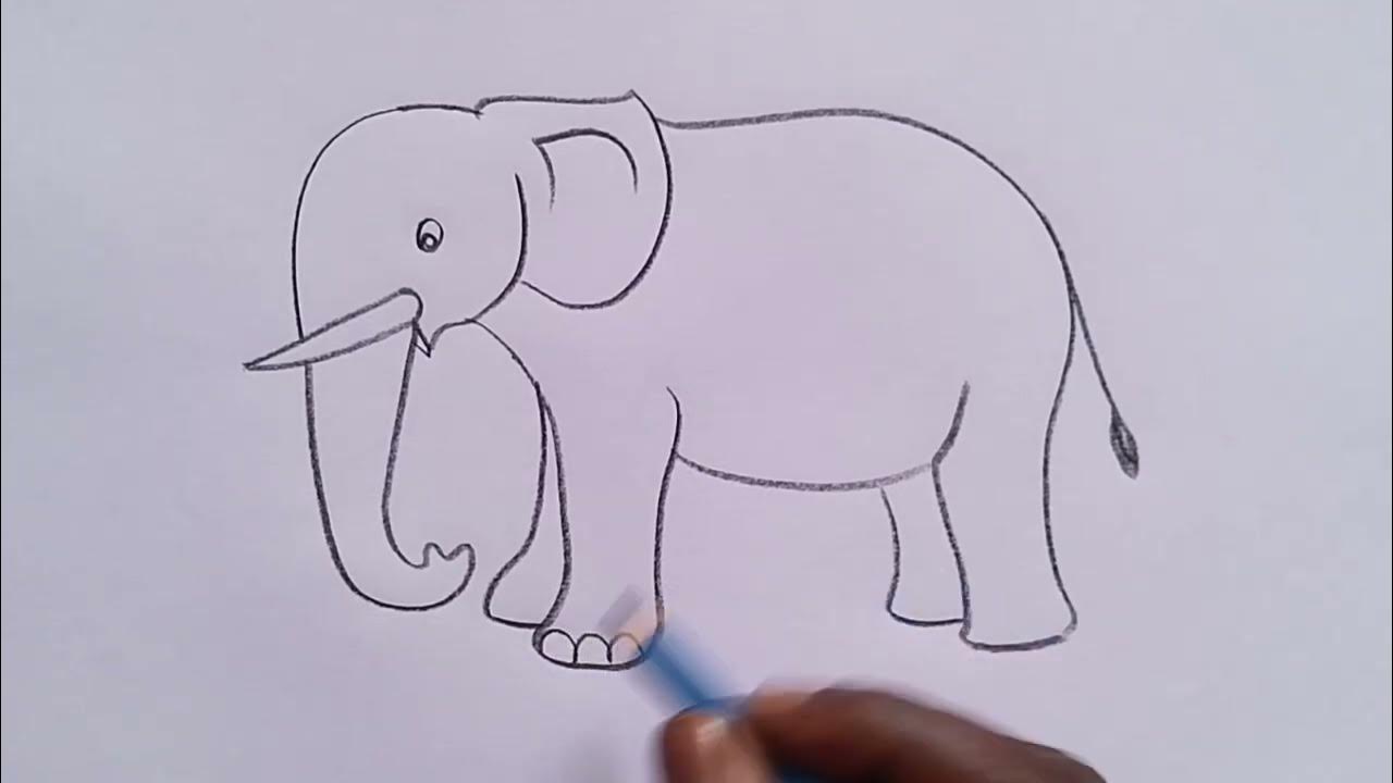 how to draw elephant drawing easy step by step@Aarav Drawing Creative ...
