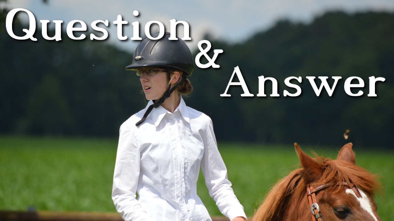 English Question And Answer YouTube english-question-and-answer-youtube