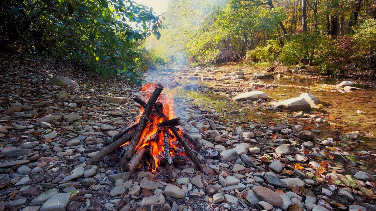 The beauty of wildlife: a flaming fire on the rocky bank of the river ...