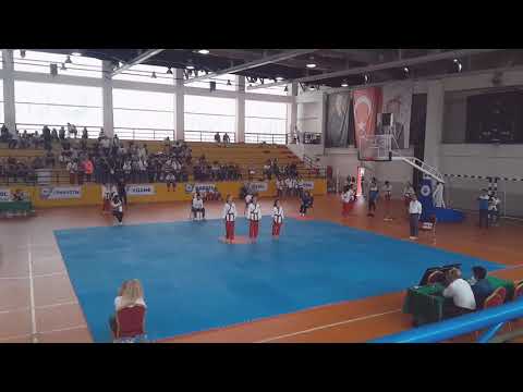 2019 istanbul teakwondo Poomse şampiyonası bayanlar senkron.
