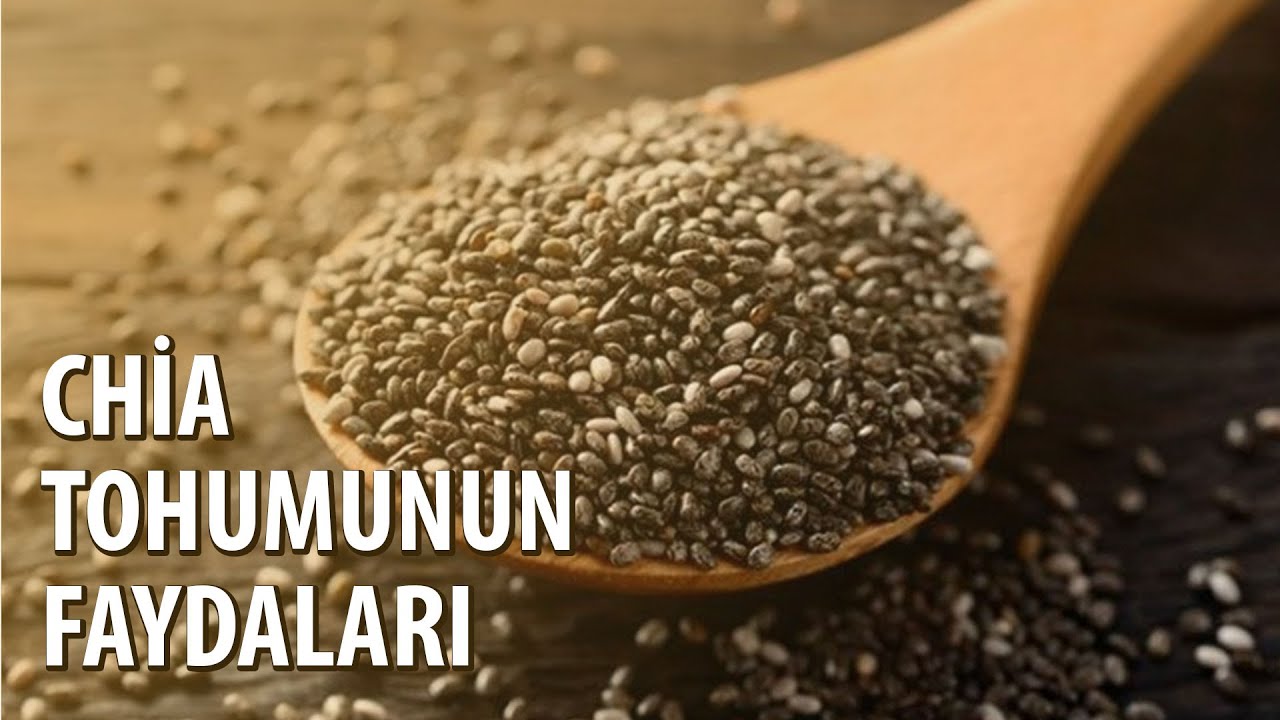 Chia Tohumu Faydaları Nelerdir? Chia Tohumu Nasıl Kullanılır? - YouTube