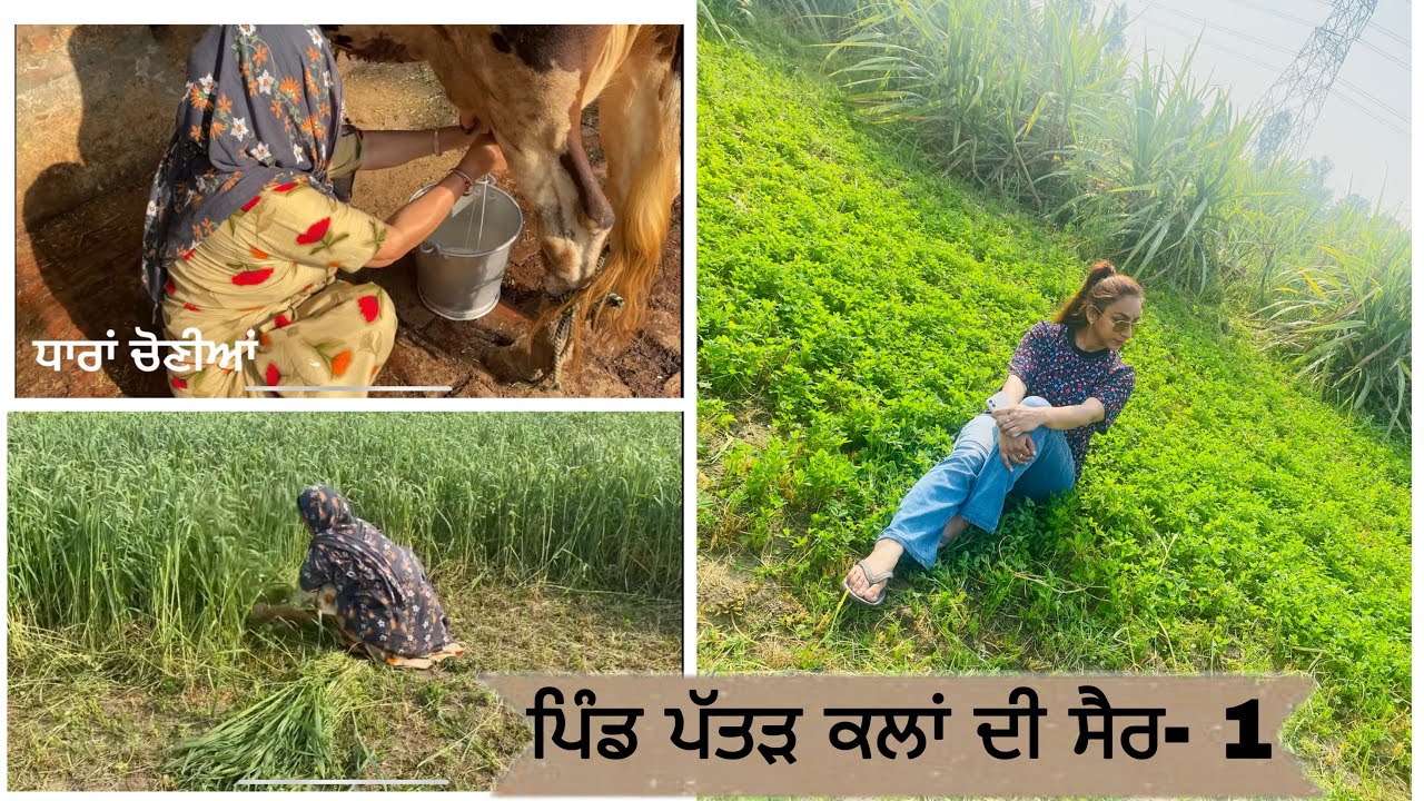 Eh hai Meri Janambhoomi | Cow milking Process| ਪਿੰਡ ਪੱਤੜ ਕਲਾਂ ਦੀ ਸੈਰ ...